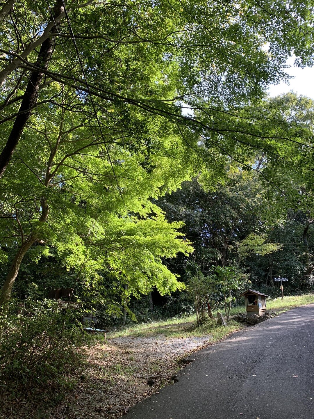 猪子山 / kaakoさんの繖山（観音寺山）の活動データ | YAMAP / ヤマップ