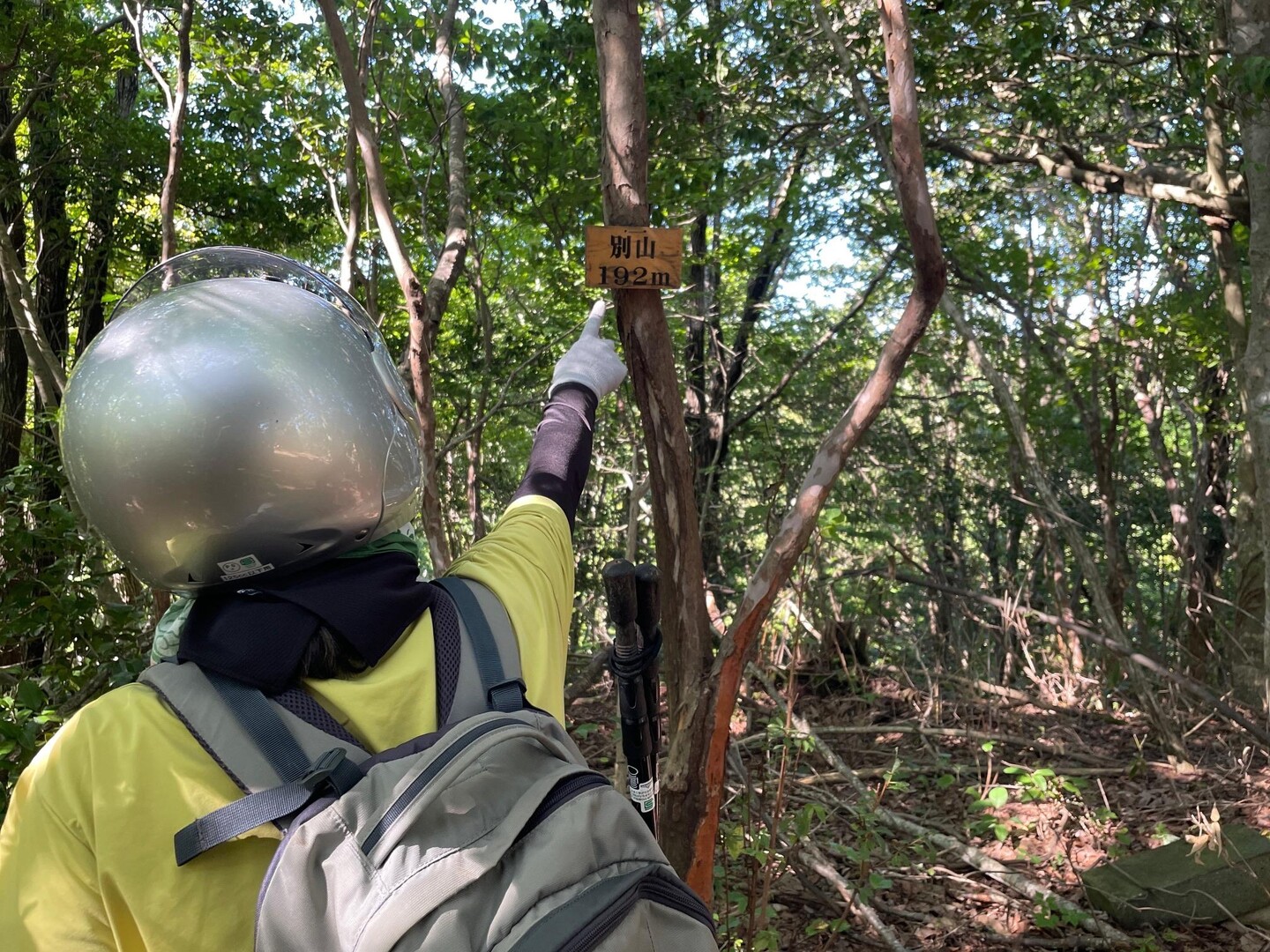 文殊山・不老山・城山・幡ケ山（金刀比羅山）・蔵王山・別山・堂山・奥之院・金毘羅山・上山 / JOG太郎さんの越知山・六所山の活動データ | YAMAP / ヤマップ