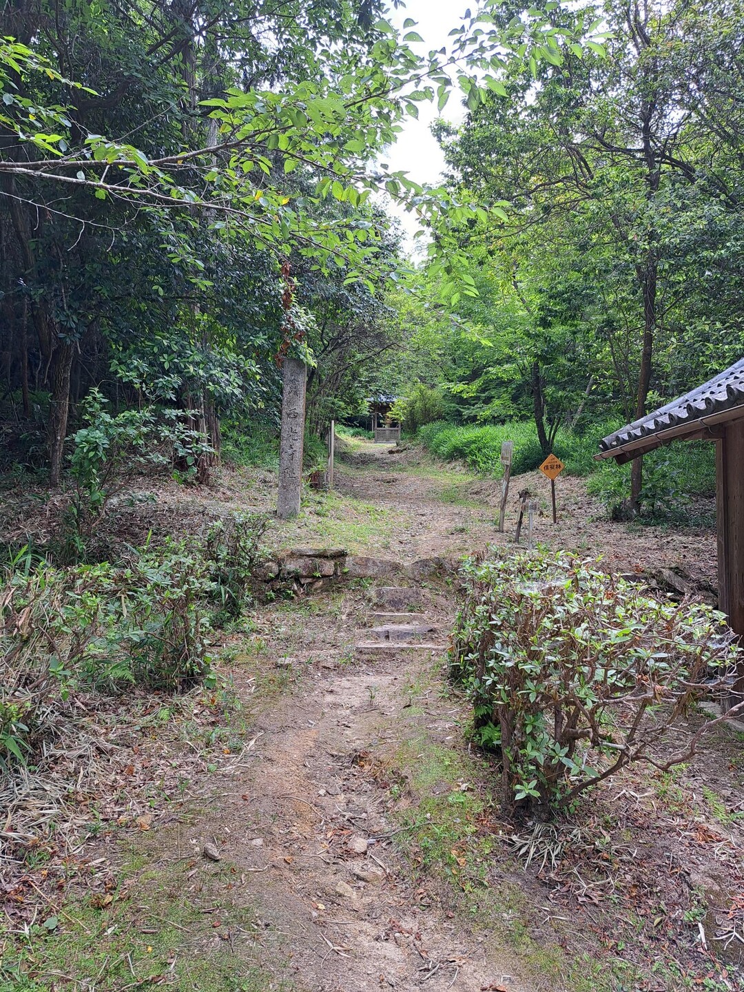 星ヶ峰・鏡山・竜王山・御幸山 / itimiさんの三上山・鏡山の活動データ | YAMAP / ヤマップ