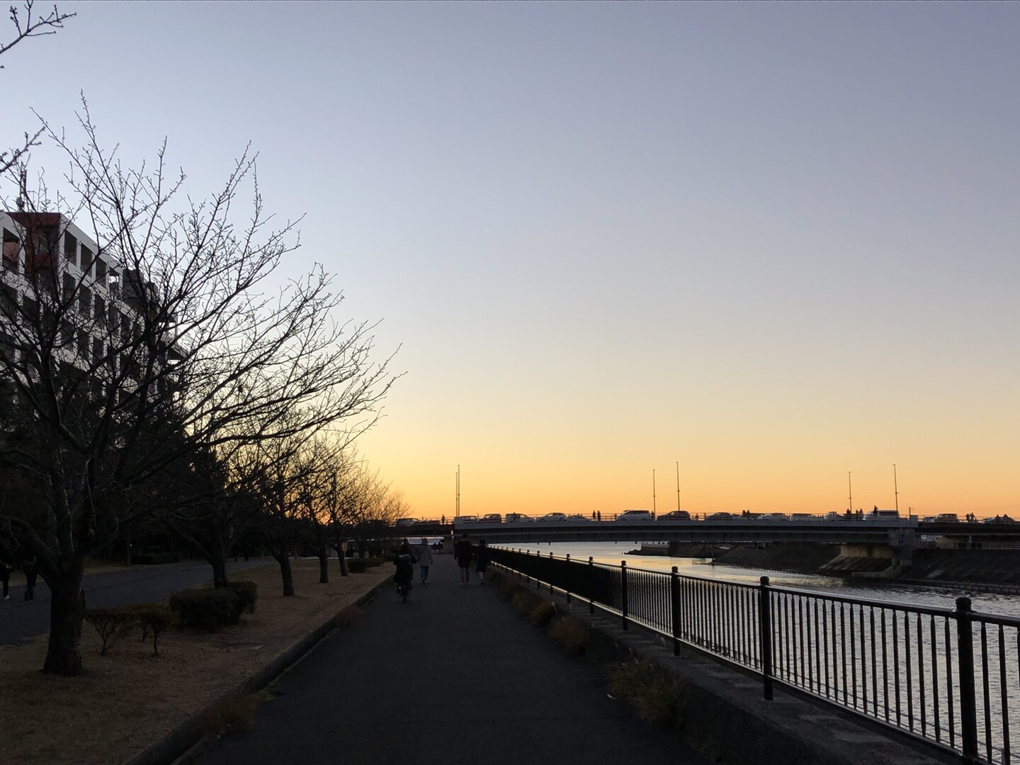 あけましておめでとうございます㊗️ / 飛行機さんのモーメント | YAMAP / ヤマップ