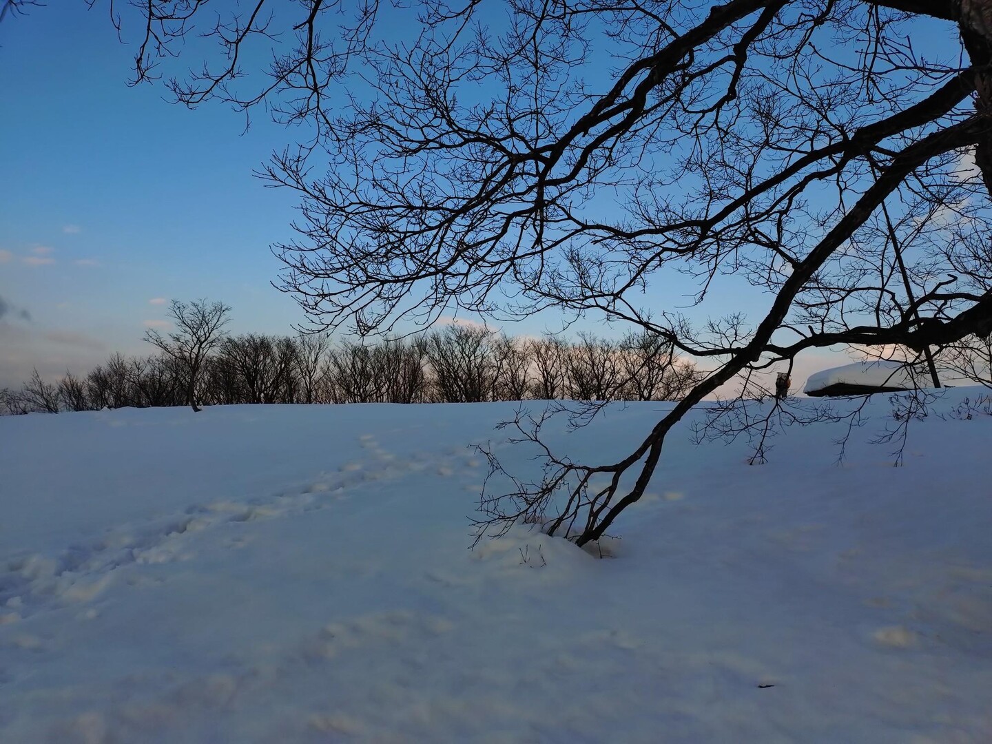 大倉岳山歩 wt,9.6kg / toshiさんの大倉岳・蓮如山の活動データ | YAMAP / ヤマップ