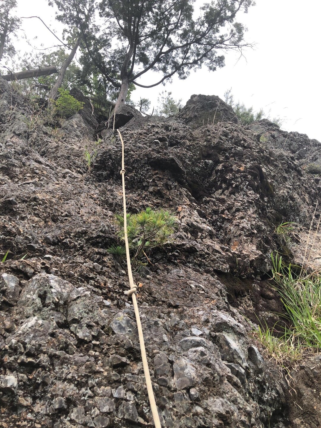 min maさんの投稿したフィールドメモ | YAMAP / ヤマップ