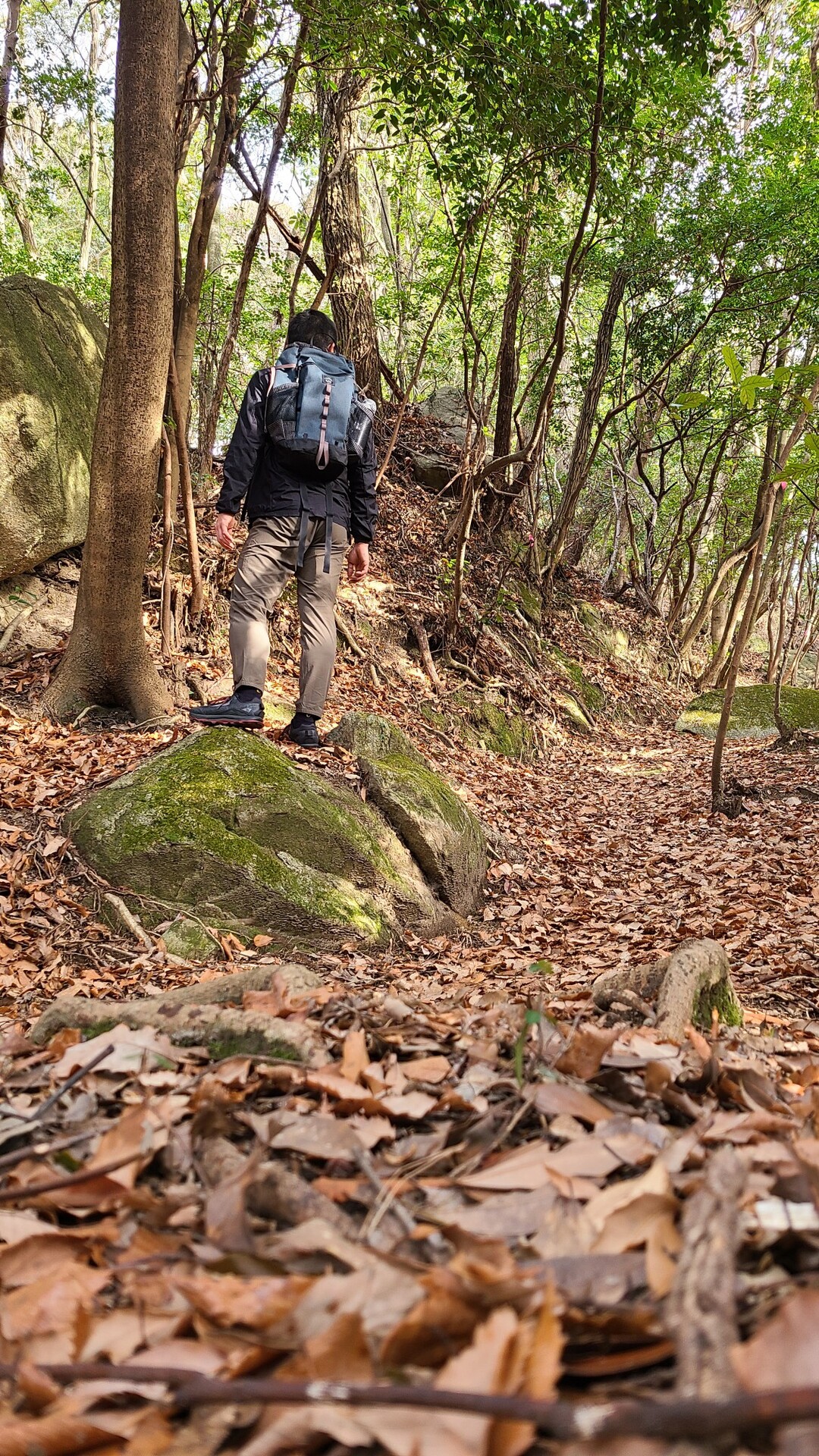 矢岳・城山-2022-01-29 / kiyo_4さんの矢岳・城山の活動データ | YAMAP / ヤマップ
