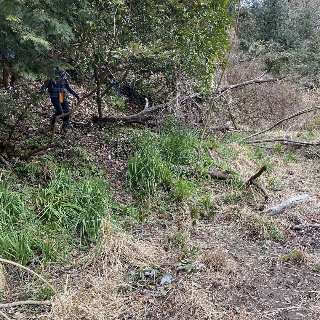 J-BOYさんの投稿したフィールドメモ | YAMAP / ヤマップ