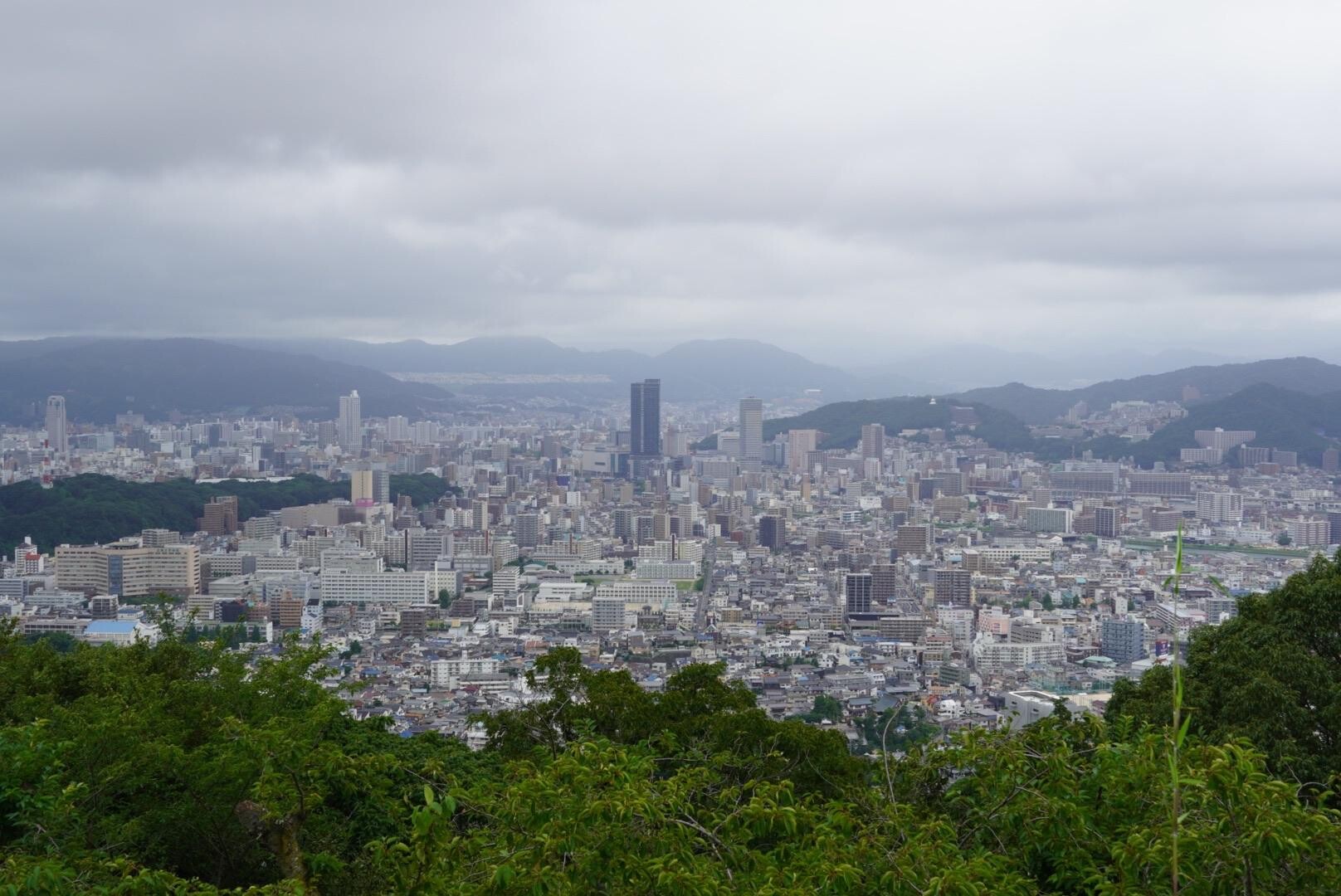 黄金山👑🤩 / masaikeさんの牛田山・尾長山・二葉山の活動データ | YAMAP / ヤマップ