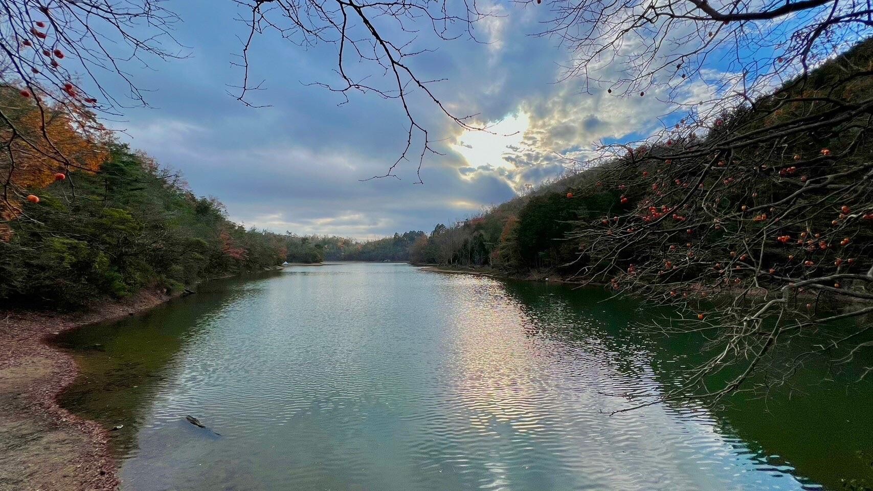 向山・城山 / さんまるごさんの京都一周トレイルの活動データ | YAMAP / ヤマップ