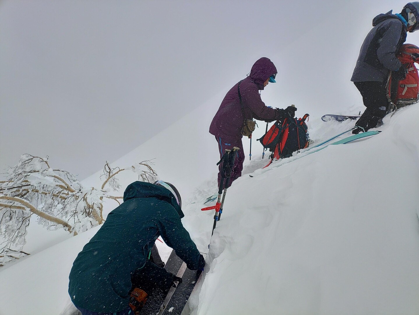 2024_02_12_岩木山 百沢スキー場起点（BCスキー） / bakkyさんの岩木山（岩鬼山）・鳥海山・鍋森山の活動日記 | YAMAP / ヤマップ