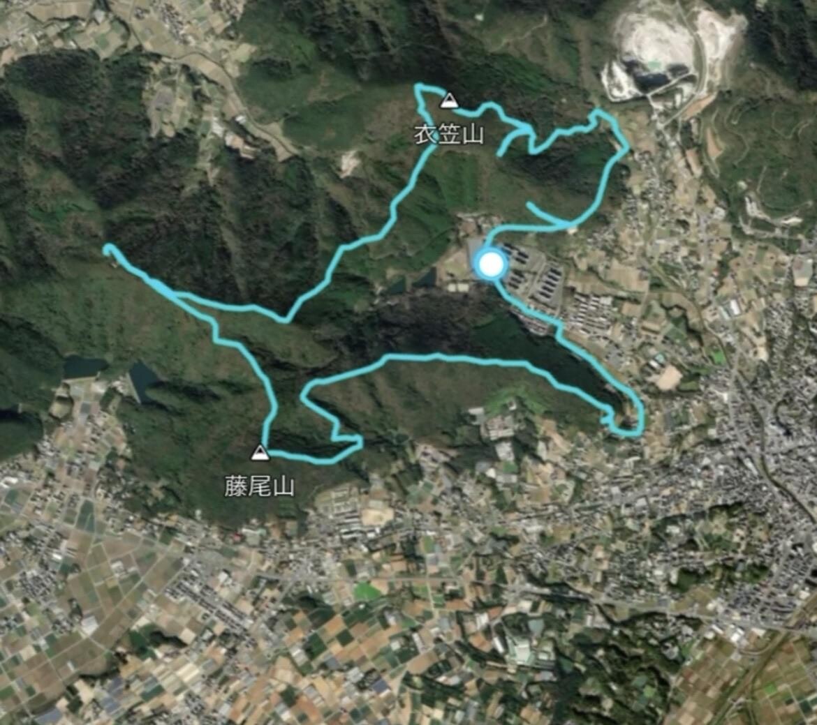 今日のワンコ🐕 No.1 / ku⭐︎maさんの蔵王山・衣笠山・滝頭山の活動データ | YAMAP / ヤマップ