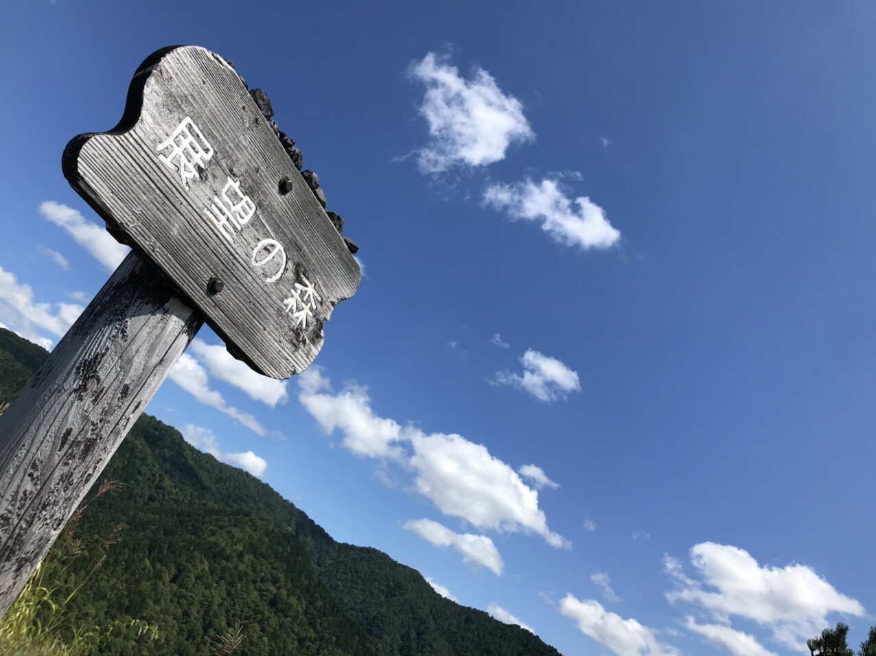 mii500のページ | YAMAP / ヤマップ