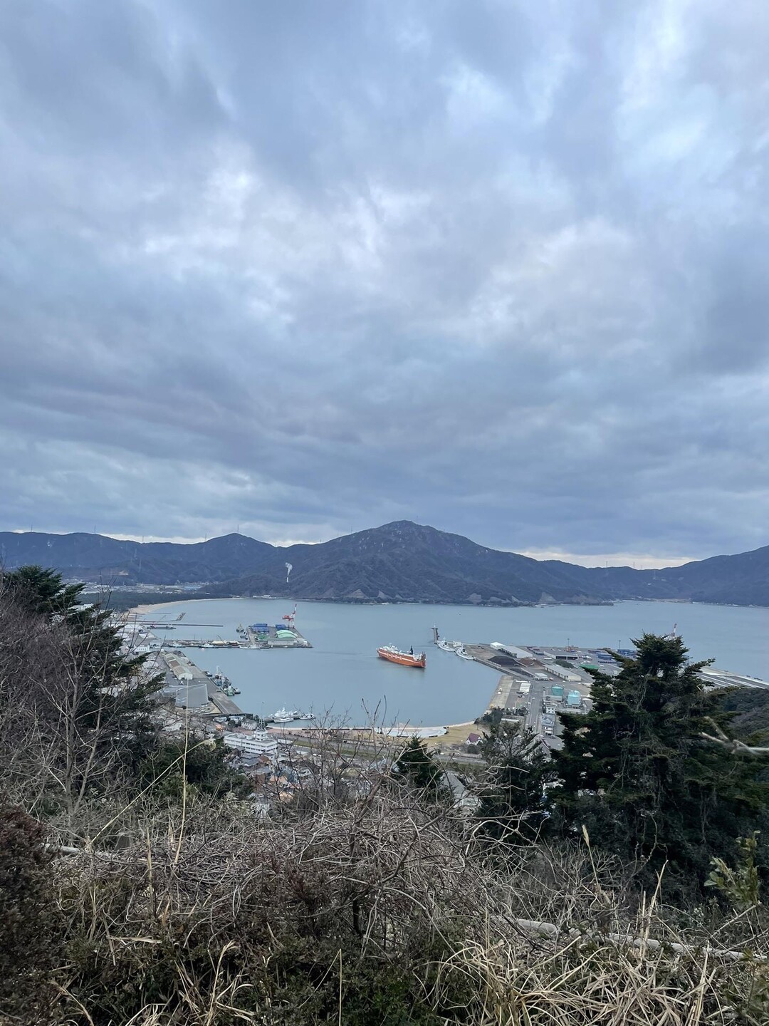 今日も ゲームみたい😵 天筒山 / miniさんの天筒山・中池見湿地の活動データ | YAMAP / ヤマップ
