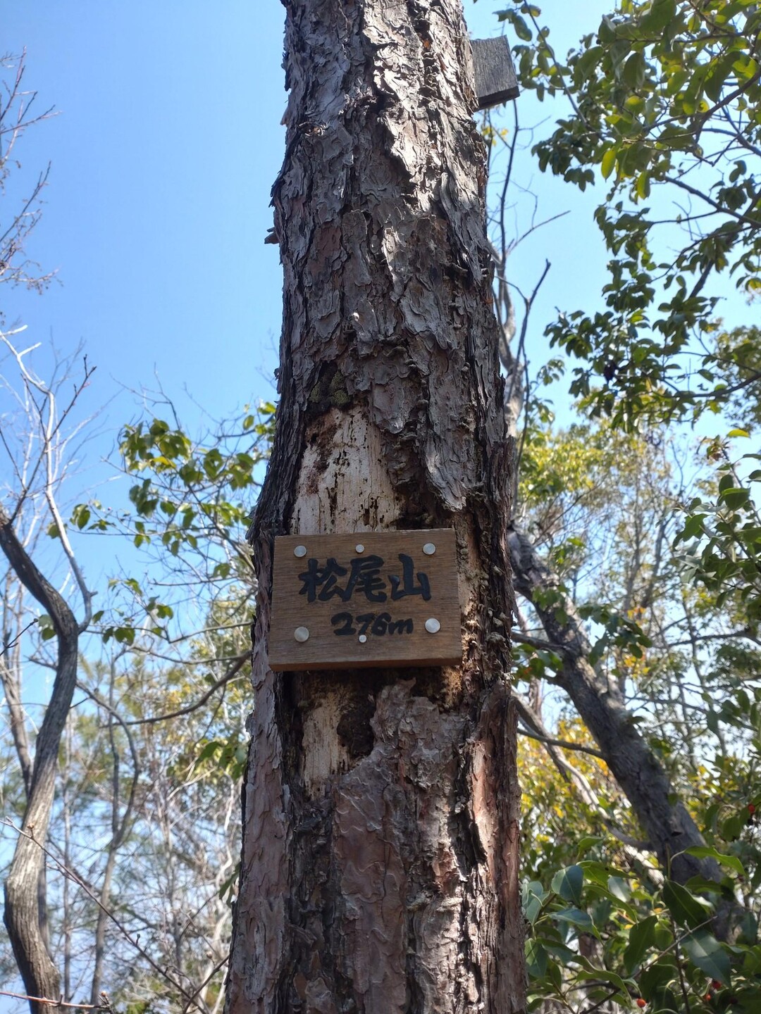 松尾山 / Rayさんの京都一周トレイルの活動データ | YAMAP / ヤマップ