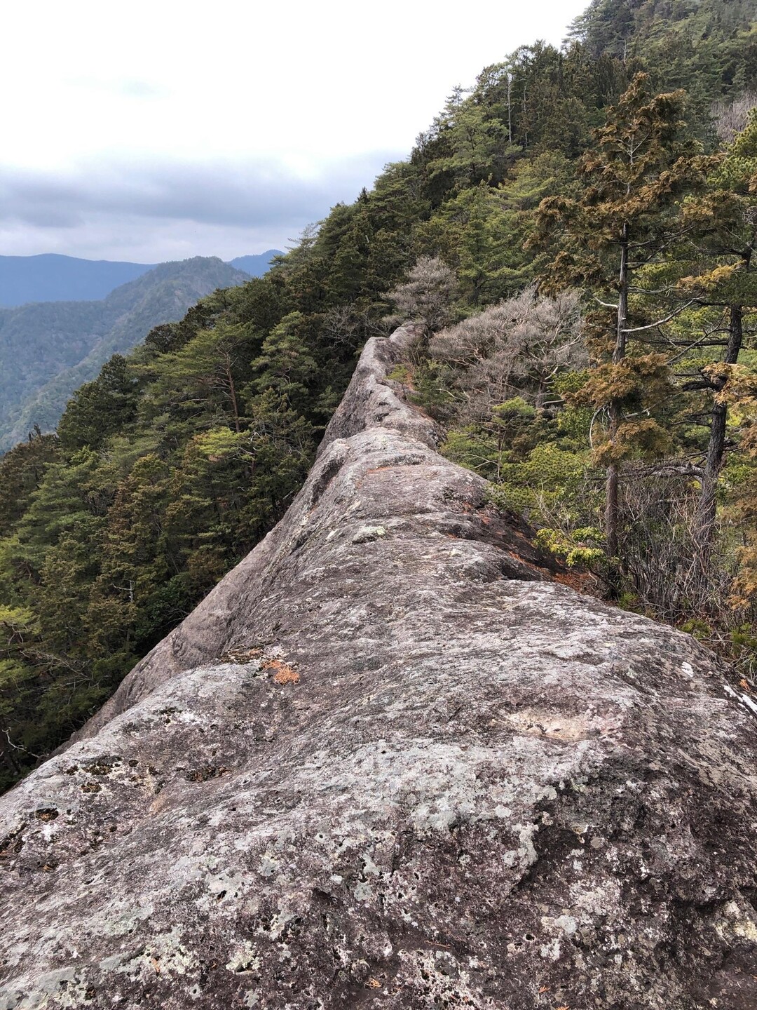 明神山（三ツ瀬明神山） 大臣さんの明神山（三ツ瀬明神山）の活動データ Yamap ヤマップ