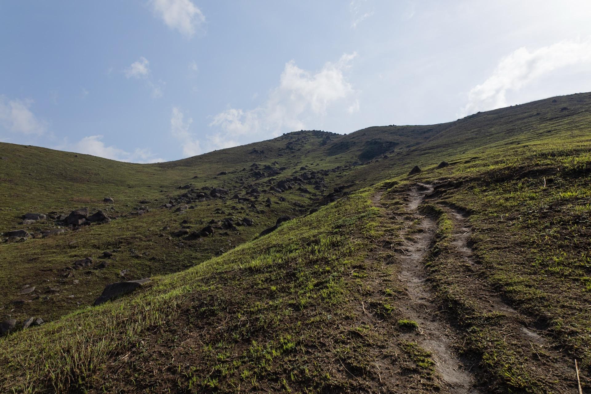 俵山 / kinjunさんの俵山・冠ヶ岳・清栄山の活動日記 | YAMAP / ヤマップ