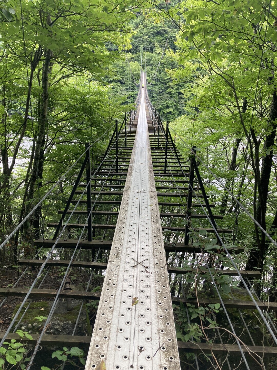 茶臼岳TJAR追っかけ / とくまるさんの聖岳・大沢岳・光岳の活動データ | YAMAP / ヤマップ