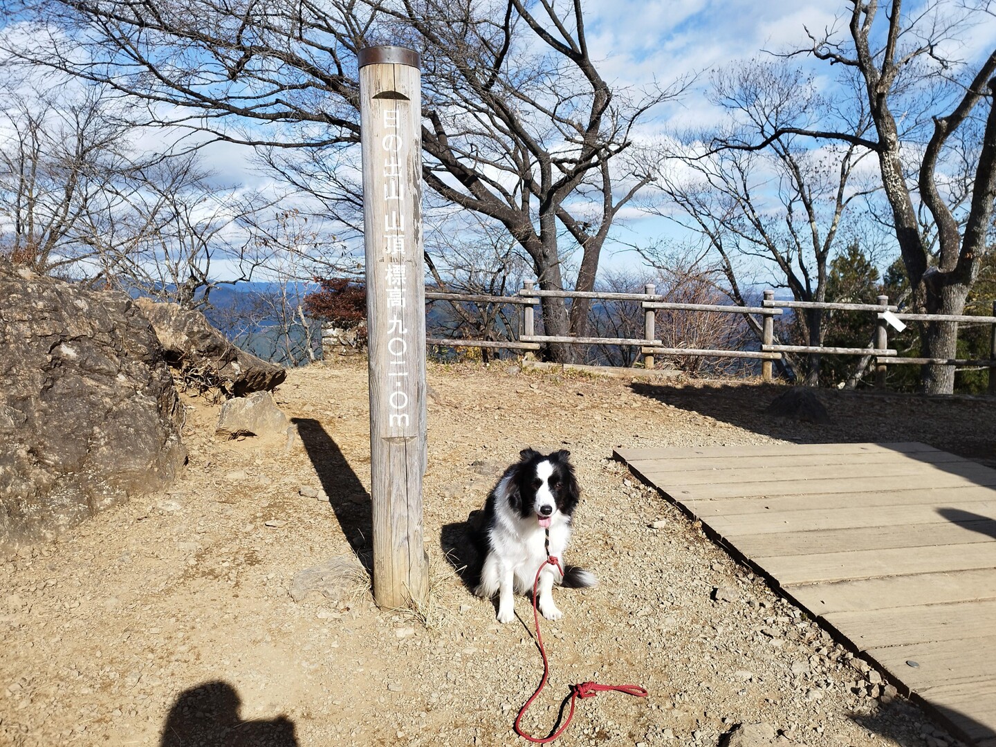 トレイルランニング-2024-12-07 奥の院 / bekobekoさんの大岳山・御岳山・御前山の活動データ | YAMAP / ヤマップ