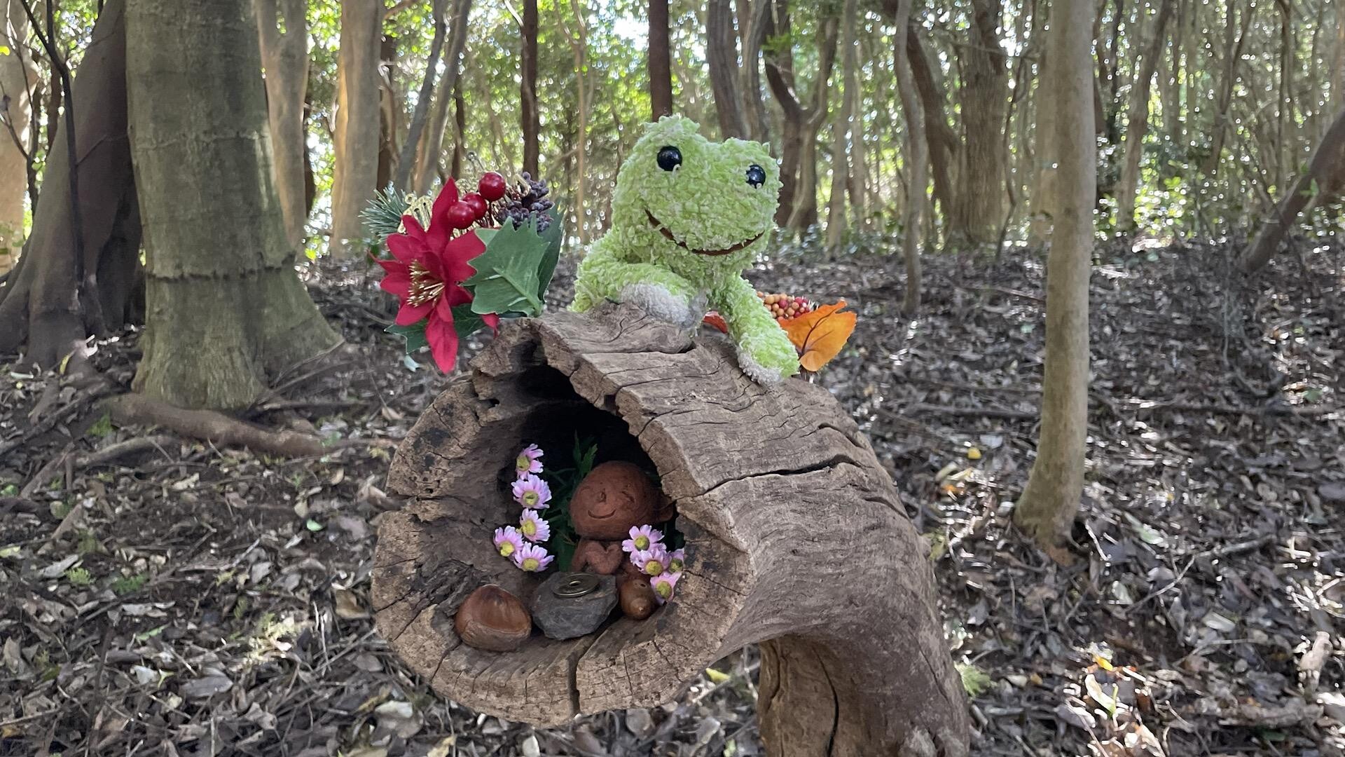 湖西連峰へトレーニングに… / pickji28さんの坊ヶ峰・石巻山・神石山・葦毛湿原の活動データ | YAMAP / ヤマップ