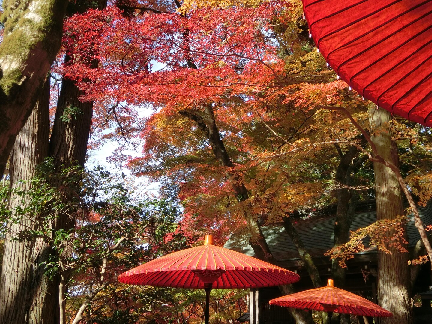 有馬温泉瑞宝時公園を散策 ガイドブックに... / JIさんのモーメント | YAMAP / ヤマップ