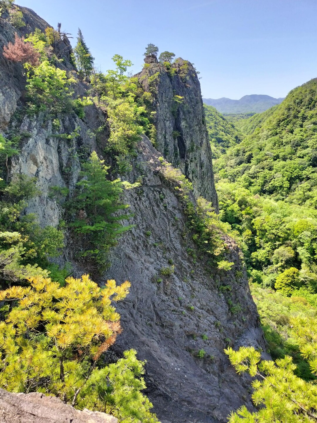 ソロ175 百丈岩 / J.BOYさんの百丈岩・鎌倉峡の活動データ | YAMAP / ヤマップ