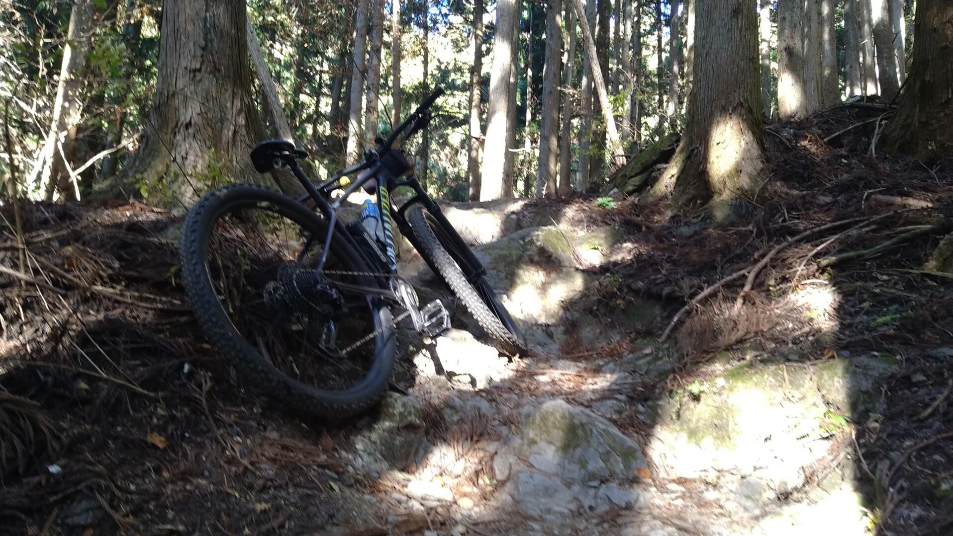 MTB ポタ 丸山 / たつくらさんのサイクリングの活動データ | YAMAP / ヤマップ