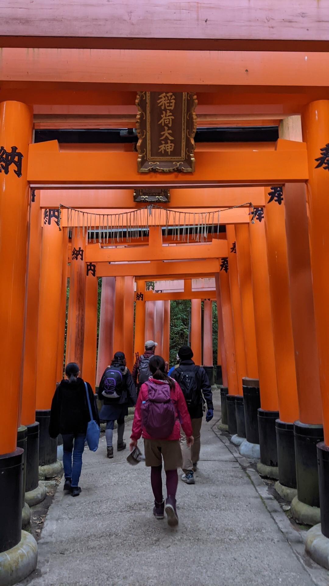 京都トレイル【東山コース】伏見稲荷大社〜銀閣寺 / teruyamaさんの大文字山・如意ヶ嶽・稲荷山の活動データ | YAMAP / ヤマップ