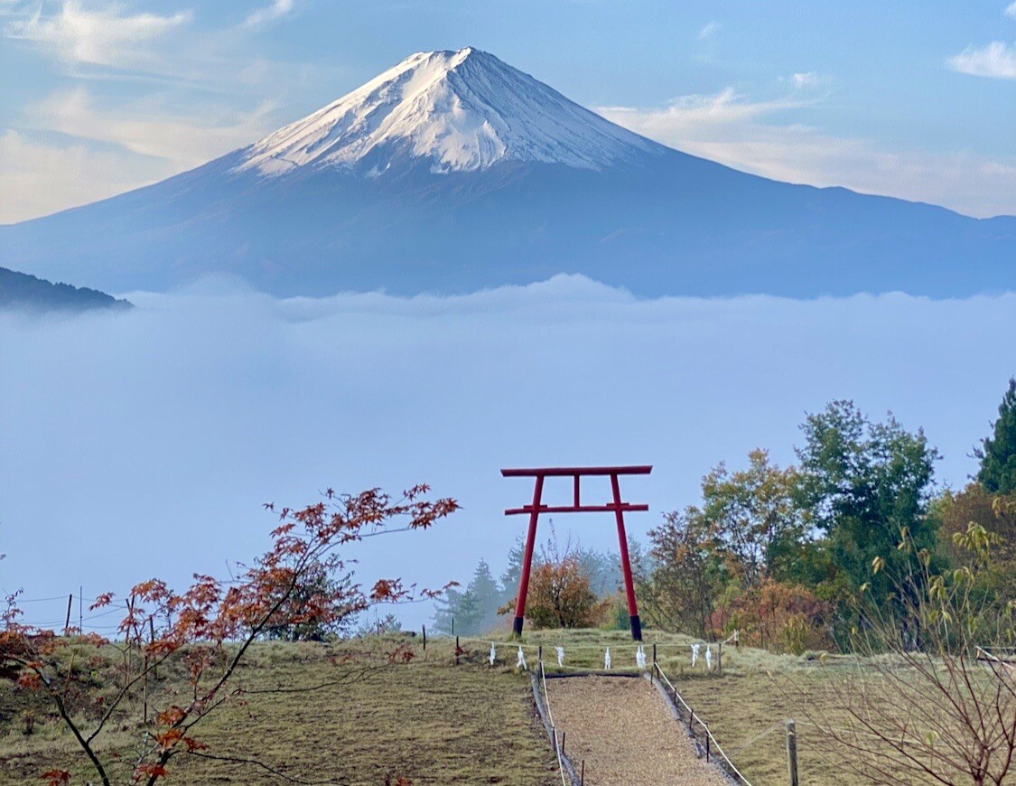 富士と雲海と天空の鳥居 / NBさんの三ッ峠山・本社ヶ丸・鶴ヶ鳥屋山の活動データ | YAMAP / ヤマップ