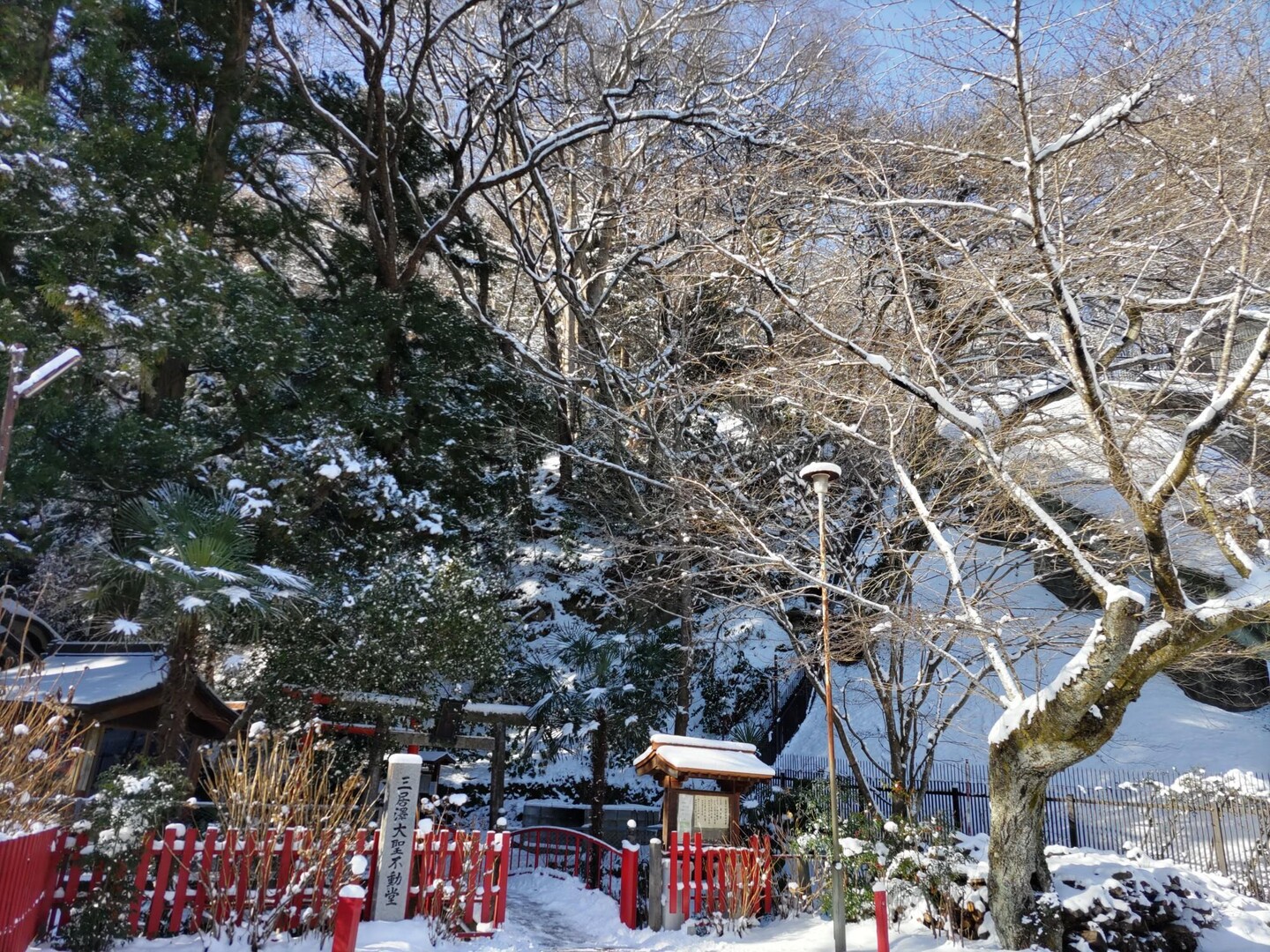 今回の猛烈寒波によって、もしかしたら17... / あんこさんのモーメント | YAMAP / ヤマップ