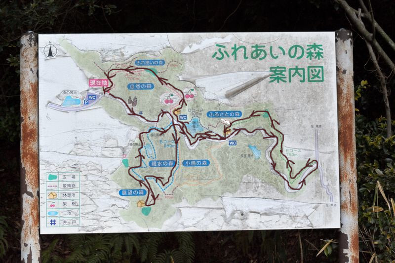 ふれあいの森再訪 2021 2/3 倉... / tomyさんのモーメント | YAMAP / ヤマップ