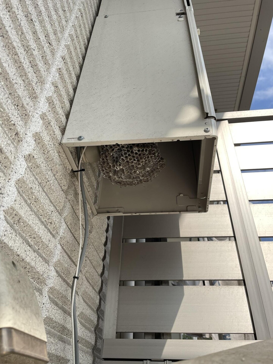 スズメバチの襲来に遭い廃墟と化した🐝蜂... / SAKIさんのモーメント | YAMAP / ヤマップ