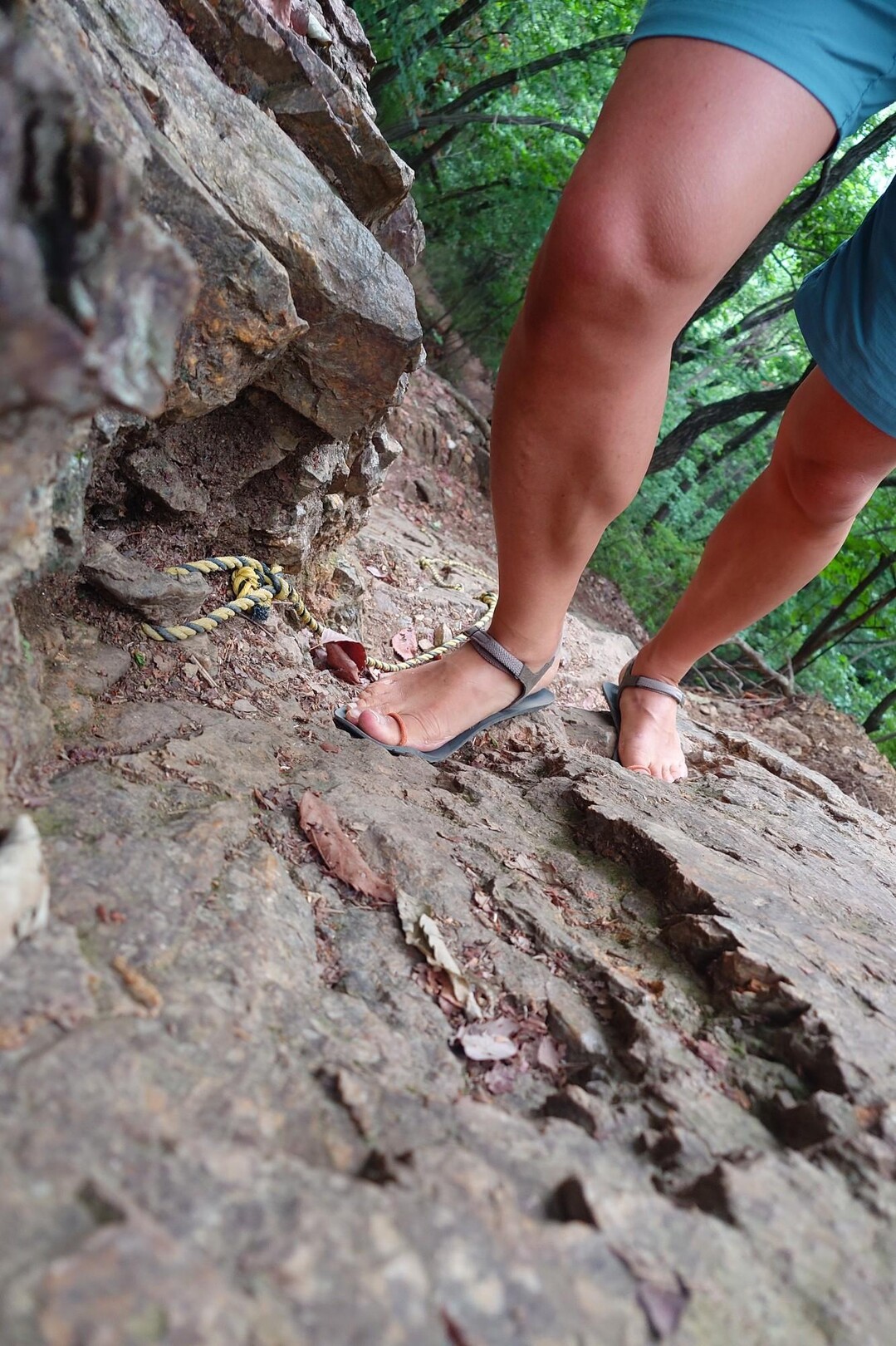 雨降り前に 29分登頂 / ta2さんの鳴神山・吾妻山の活動データ | YAMAP / ヤマップ
