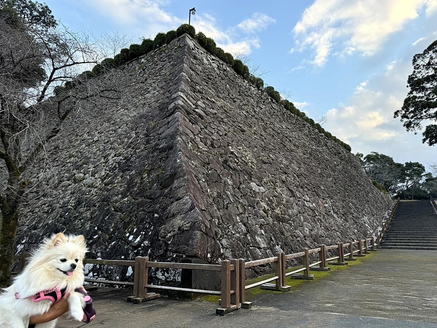 城っぷ 大分府内城、延岡城、臼杵城 / al (アル)さんの愛宕山の活動日記 | YAMAP / ヤマップ