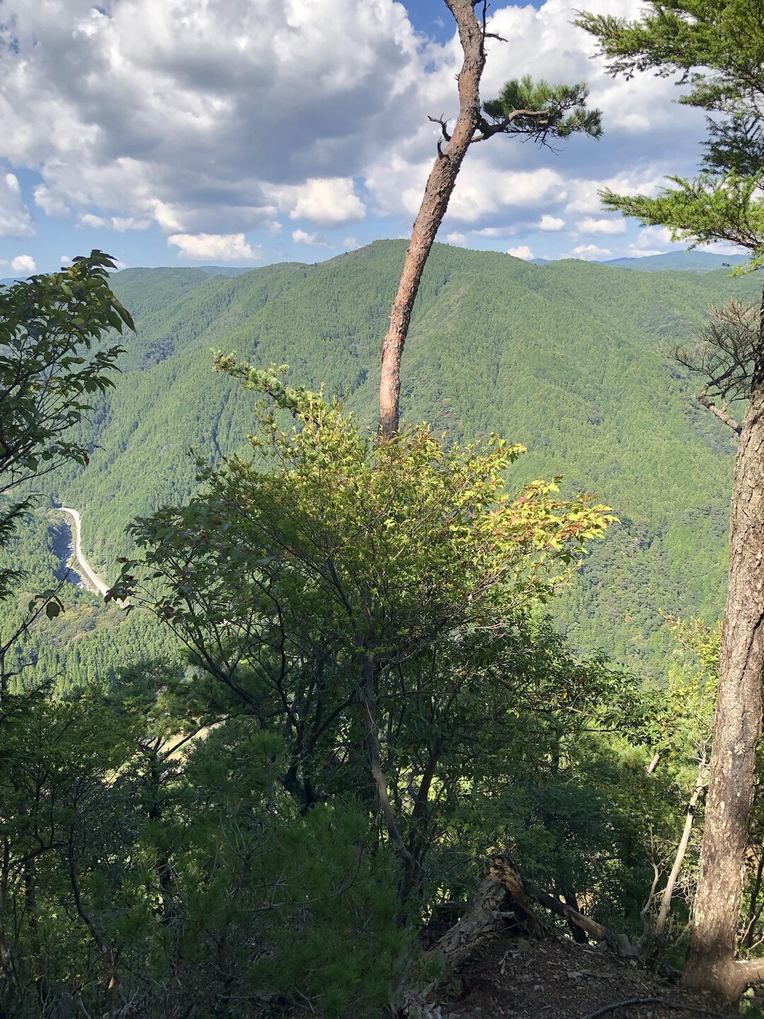 竜頭山独り占め / n-matsuさんの竜頭山の活動データ | YAMAP / ヤマップ