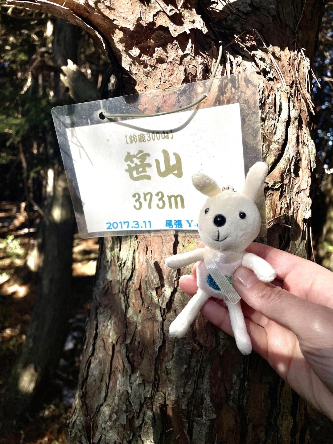 笹山 / snowpeakさんの綿向山の活動データ | YAMAP / ヤマップ