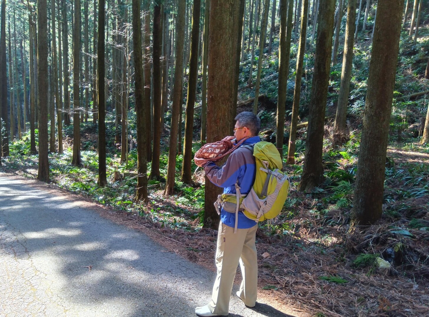 日和田山・高指山・物見山・小瀬名富士・五常の滝 / michiyoさんの日和田山・物見山の活動データ | YAMAP / ヤマップ