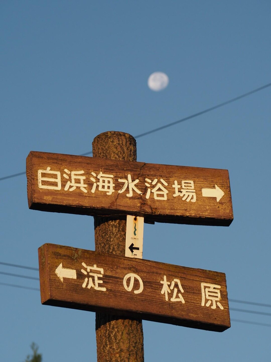 おはようございます 一足一足丁寧に足を運... / 足知（アッシ？ですか）さんのモーメント | YAMAP / ヤマップ