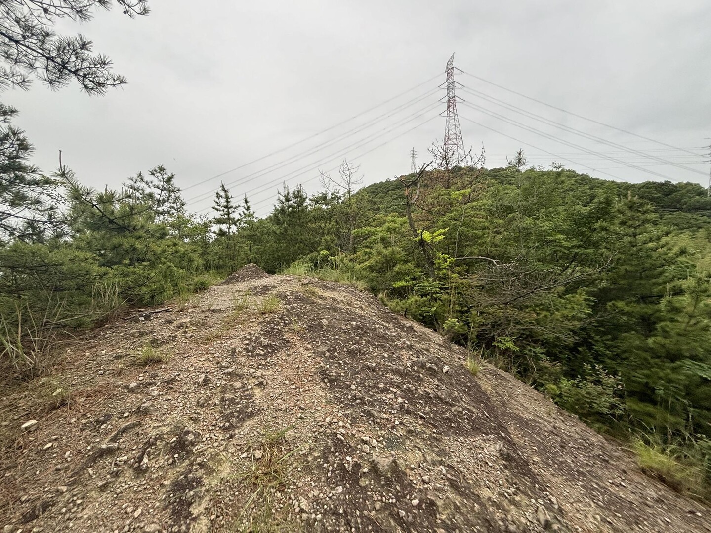 坂出の金山、堂山 / muddy329さんの登山の活動データ | YAMAP / ヤマップ