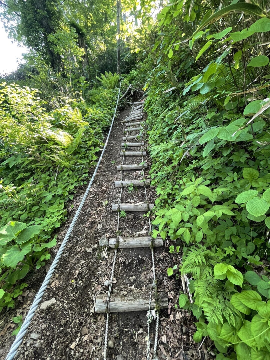 神居尻山 / x.zengさんの神居尻山・ピンネシリの活動データ | YAMAP / ヤマップ