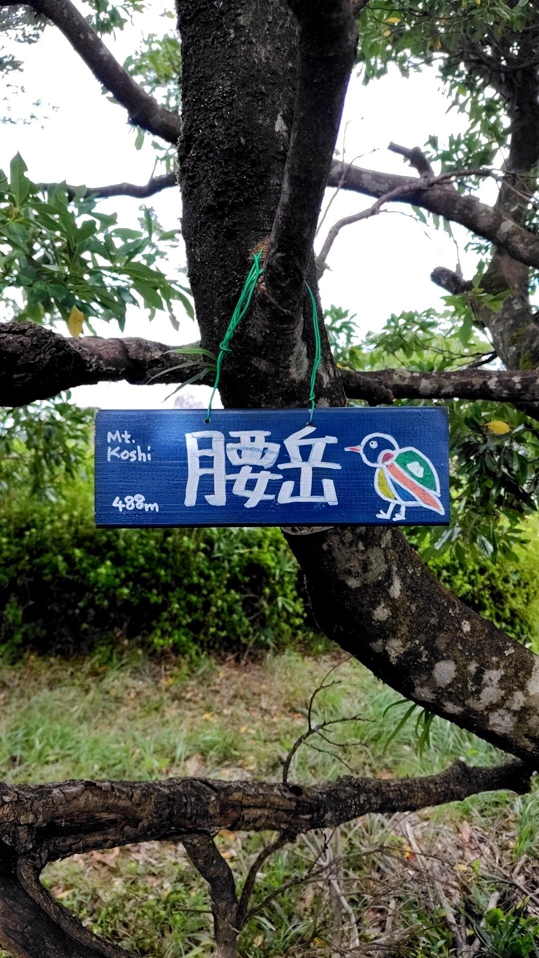 久しぶりの登山 牧II峰（青牧山）・牧ノ山・腰岳 きつかった〜 / S000239さんの黒髪山・青螺山の活動データ | YAMAP / ヤマップ