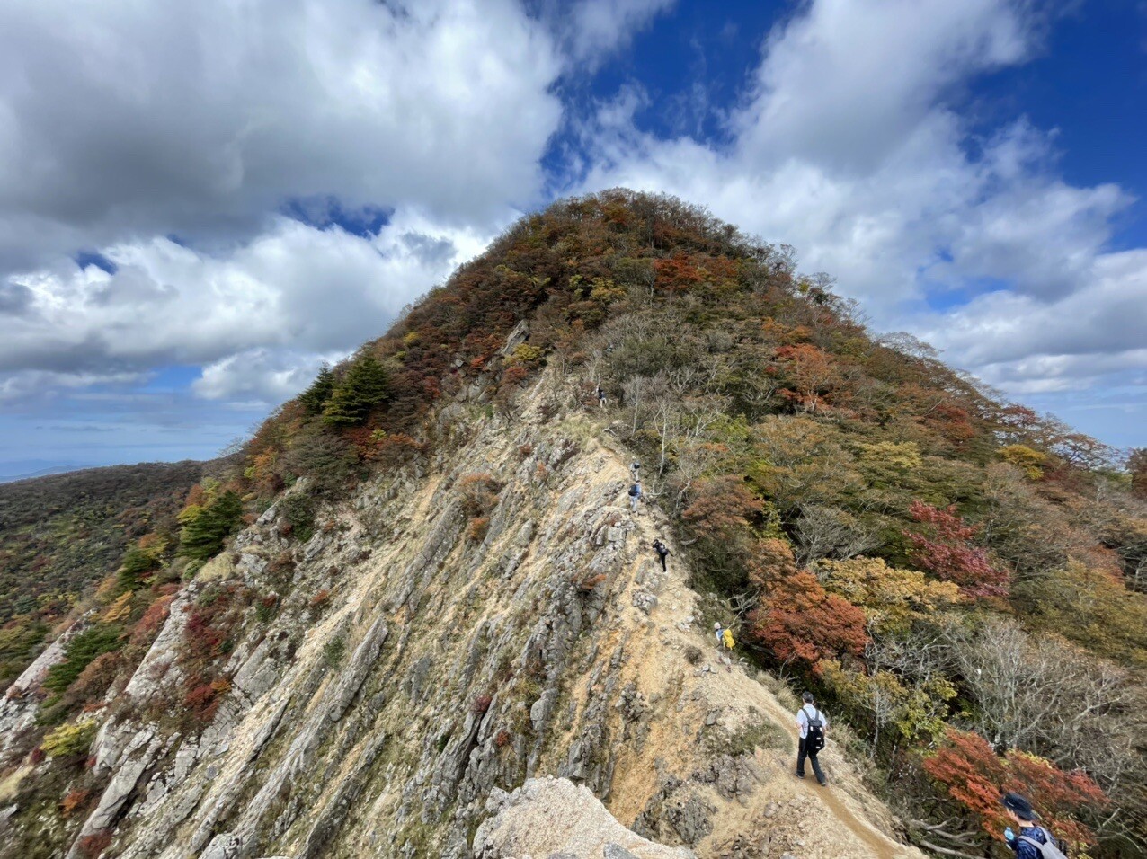 釈迦ヶ岳・猫岳・羽鳥峰 / YHさんの釈迦ヶ岳の活動データ | YAMAP / ヤマップ