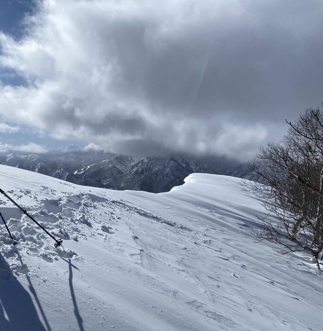 平標山 腿ラッセル / mtakoさんの仙ノ倉山・平標山・大源太山の活動日記 | YAMAP / ヤマップ