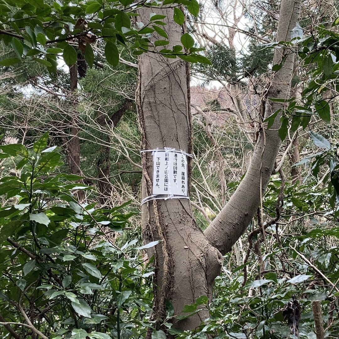 R352さんの投稿したフィールドメモ | YAMAP / ヤマップ