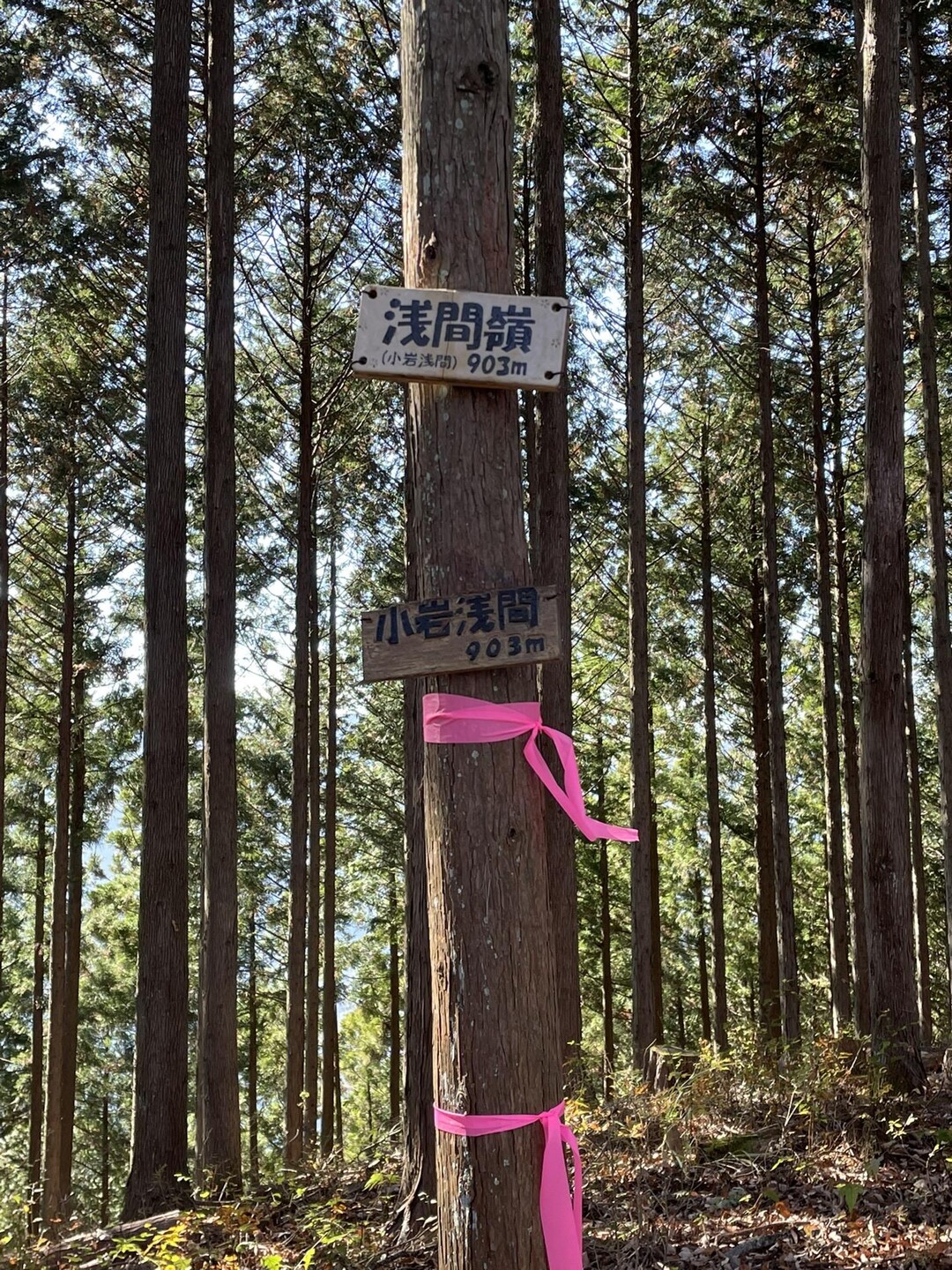 内台山・一本松山・石宮ノ頭・浅間嶺（小岩浅間） / Markさんの浅間嶺・松生山の活動データ | YAMAP / ヤマップ