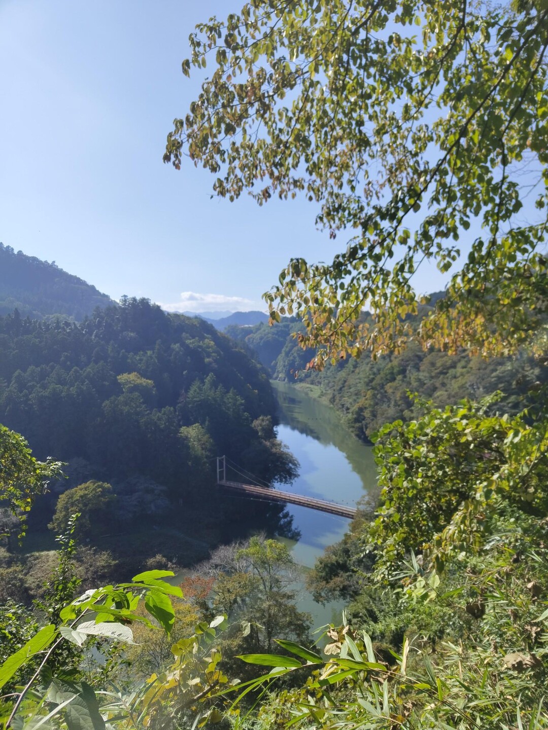 高尾山→弁天橋 / RSさんの高尾山・陣馬山・景信山の活動データ | YAMAP / ヤマップ