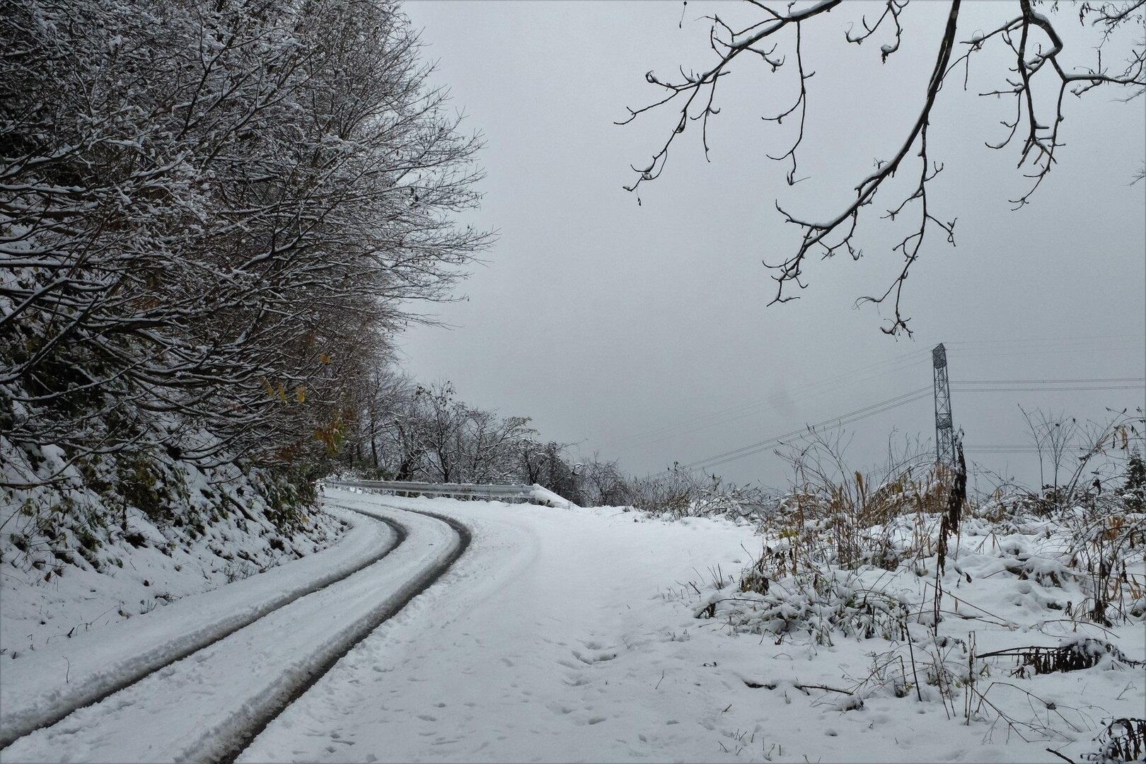 ’22・12・2 ⛄ 医王山白くなってま... / SMさんのモーメント | YAMAP / ヤマップ