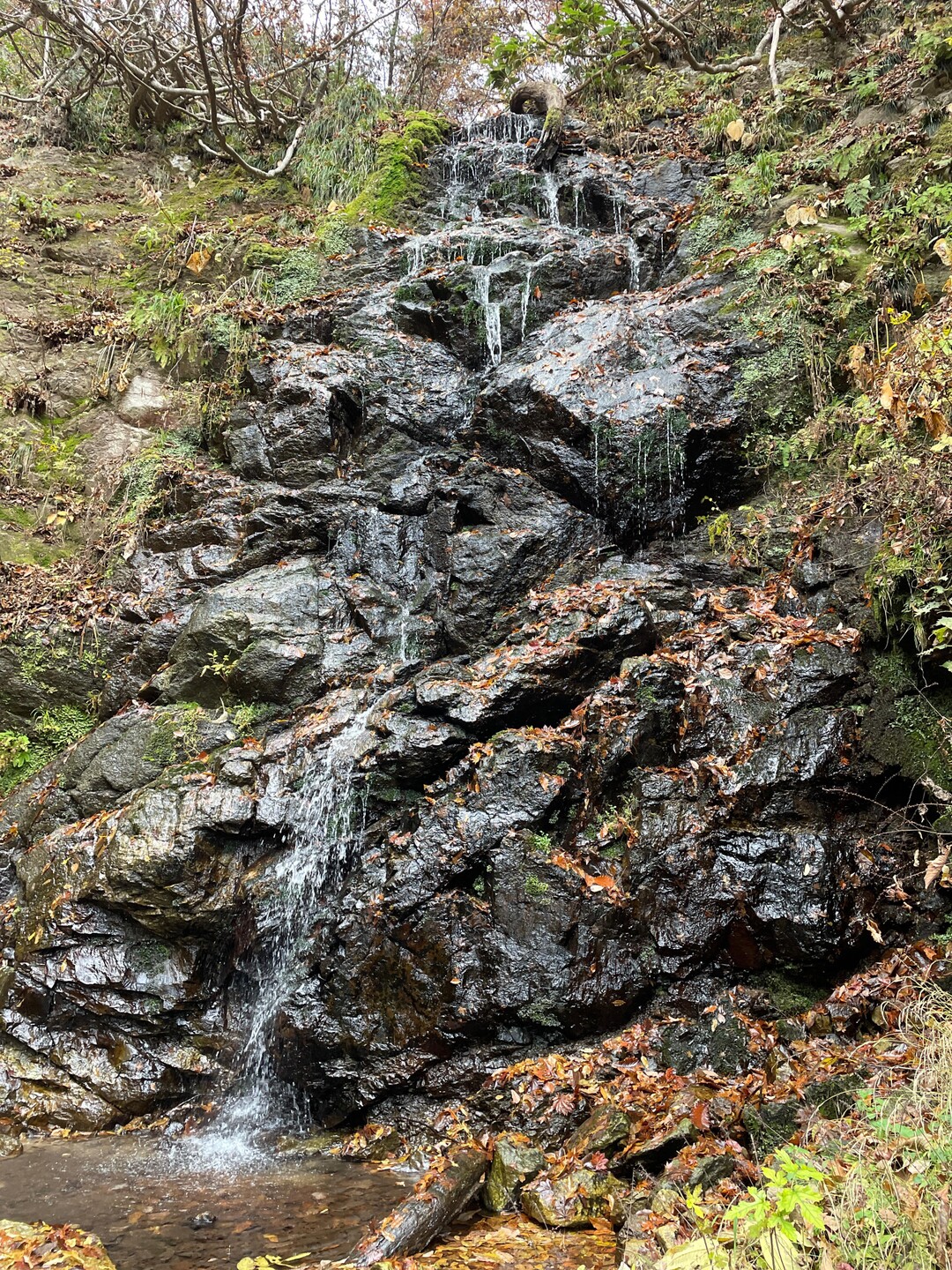 monamonaさんの投稿したフィールドメモ | YAMAP / ヤマップ