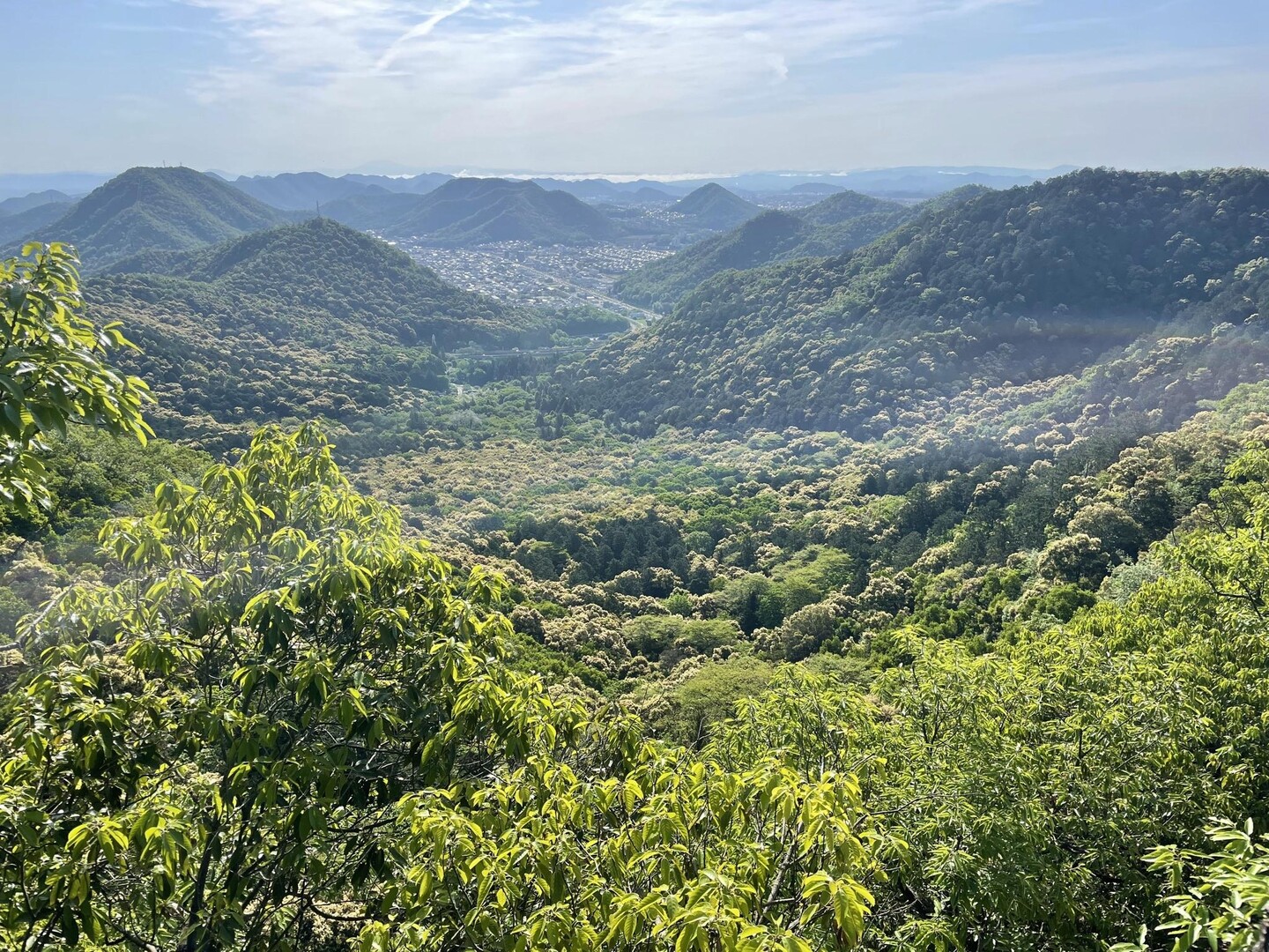 金華山66th〜岩戸山6th / kocatkaさんの金華山・洞山・舟伏山の活動データ | YAMAP / ヤマップ