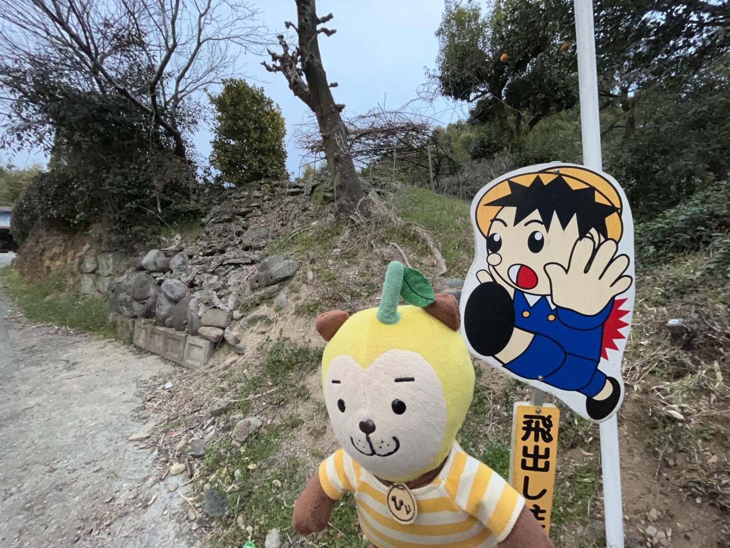 己が為に、挑戦は続くッ！【人吉・球磨遠征登山Vol.5】 / roughtice(ラフティス)さんの多良木町の活動データ | YAMAP / ヤマップ