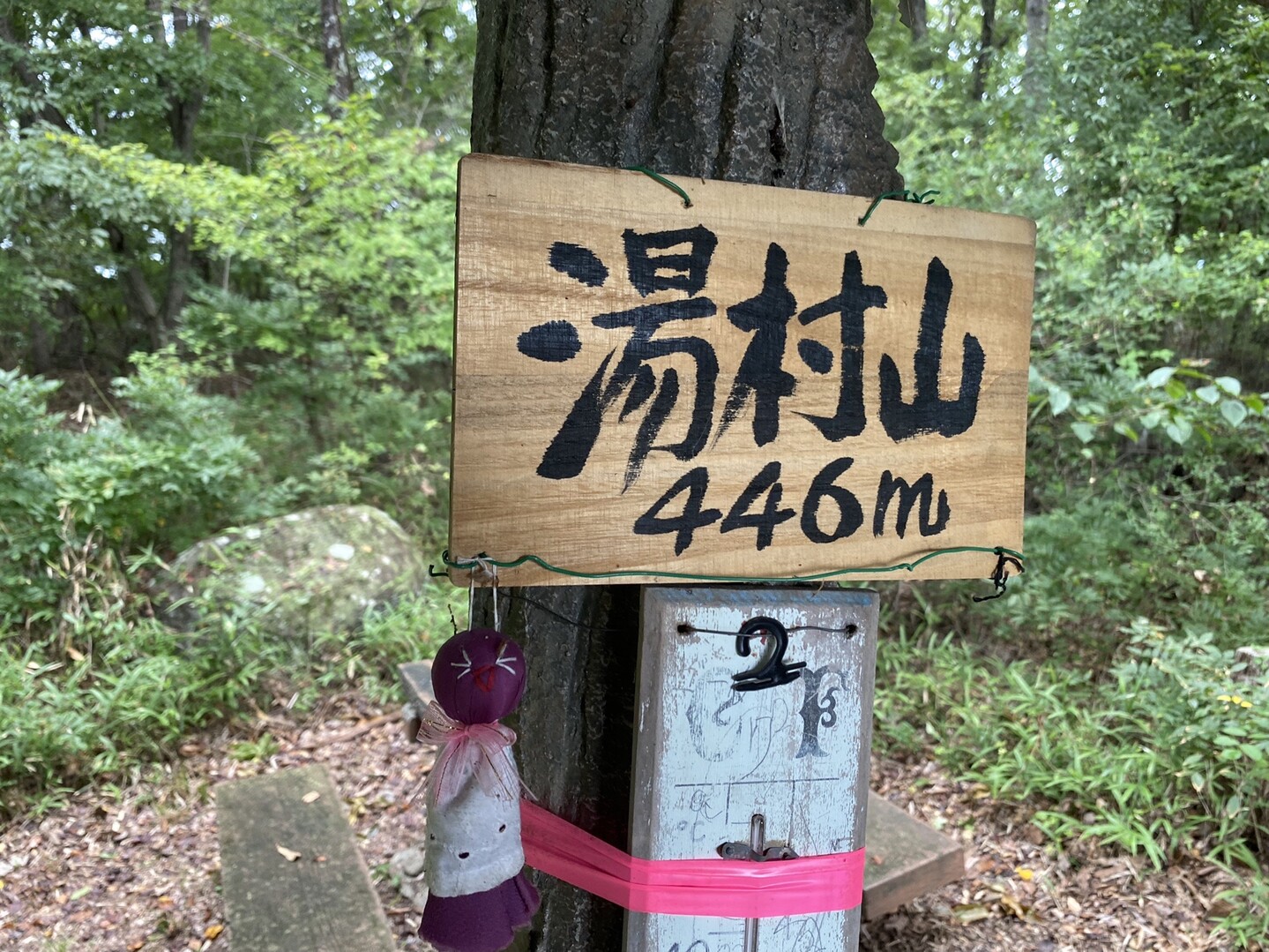 湯村山⛰～ヤマップ手ぬぐいGETの旅～ / Nmamaさんの興因寺山・淡雪山・八王子山の活動データ | YAMAP / ヤマップ