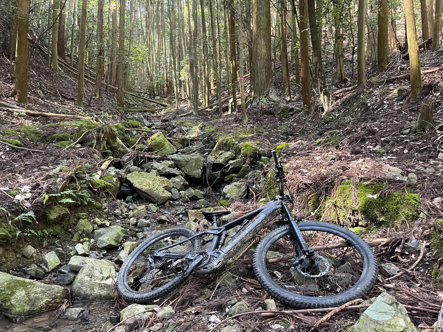 MTB 2022-10-16 M N N... / のんたんさんのモーメント | YAMAP / ヤマップ