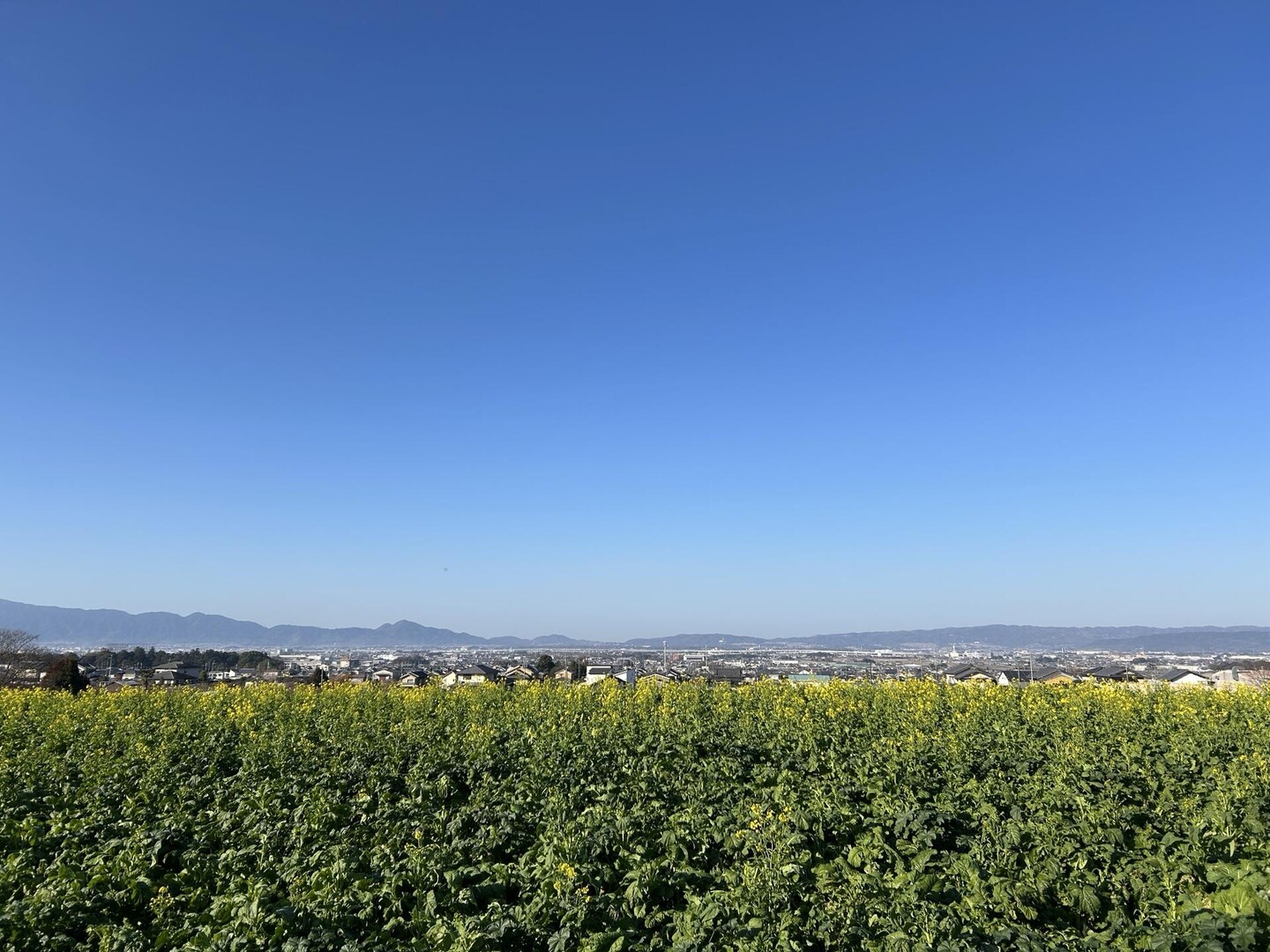 山の辺の道 / MAYUMIさんの三輪山・巻向山・龍王山の活動日記 | YAMAP / ヤマップ