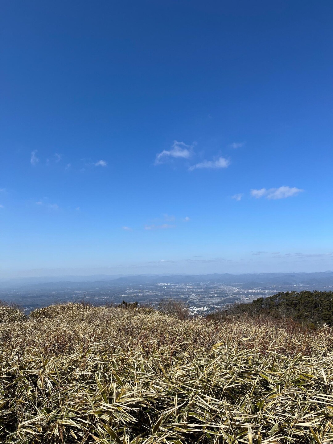 荒神山・西お多福山・六甲山 / moko_sさんの六甲山・長峰山・摩耶山の活動データ | YAMAP / ヤマップ